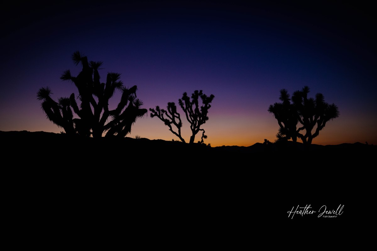 Portfolio – Heather Jewell Photography